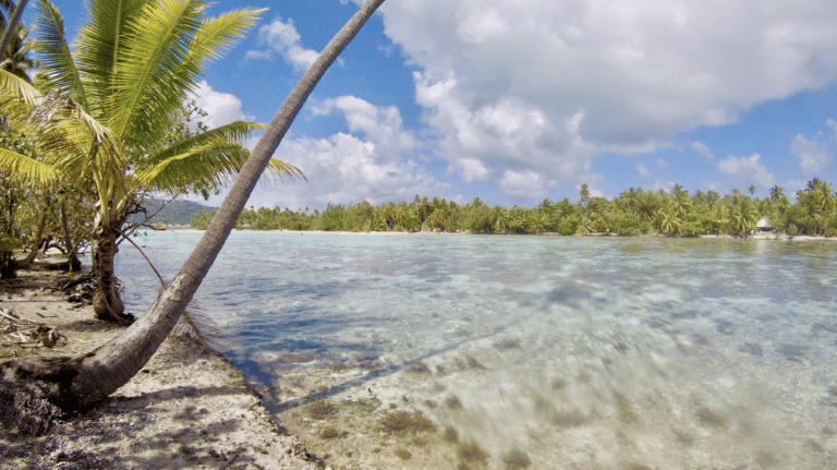 Excursion d’une journée à Taha’a, l’île vanille de Polynésie - LaetLiving