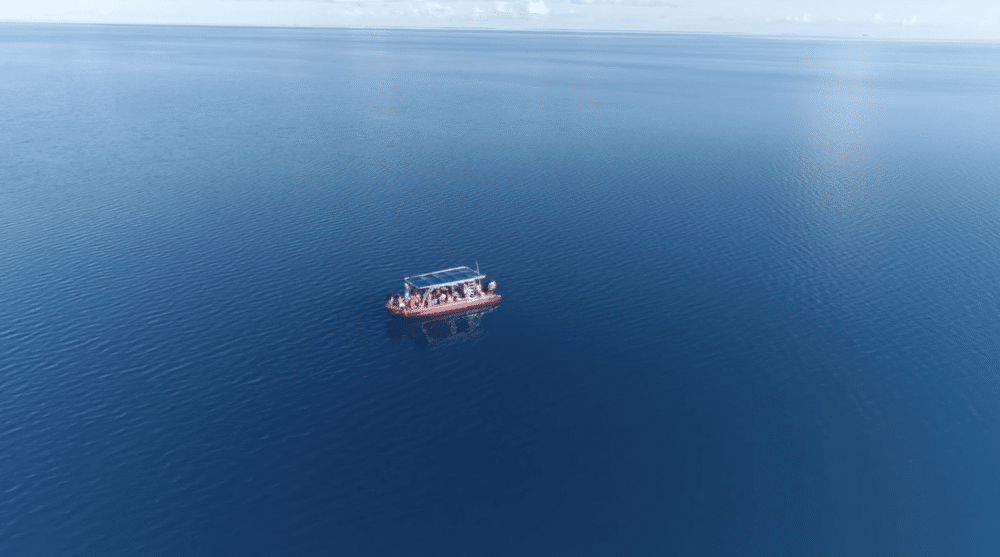 Excursion aux Sables Roses de Rangiroa en Polynésie - LaetLiving