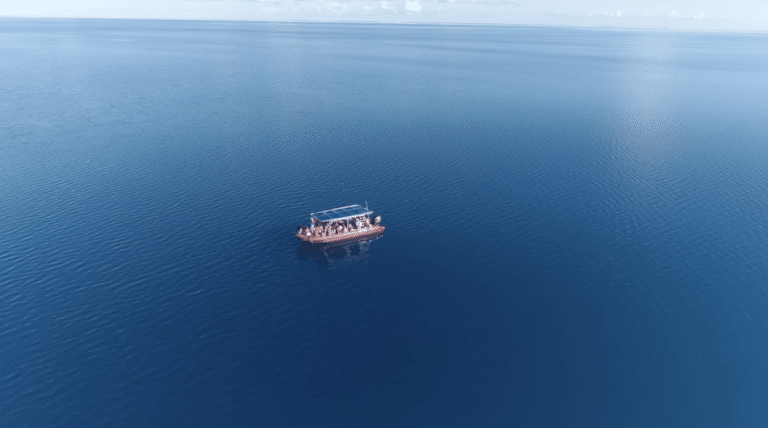 Excursion aux Sables Roses de Rangiroa en Polynésie - LaetLiving