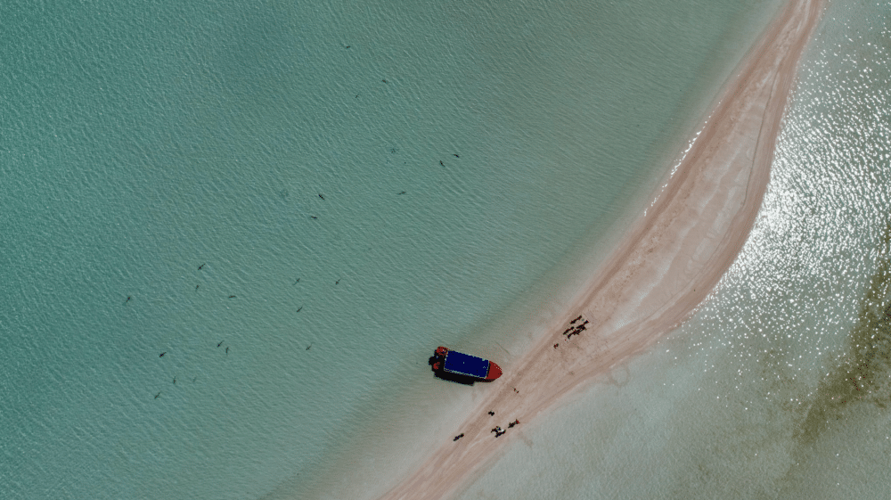 Excursion aux Sables Roses de Rangiroa en Polynésie - LaetLiving
