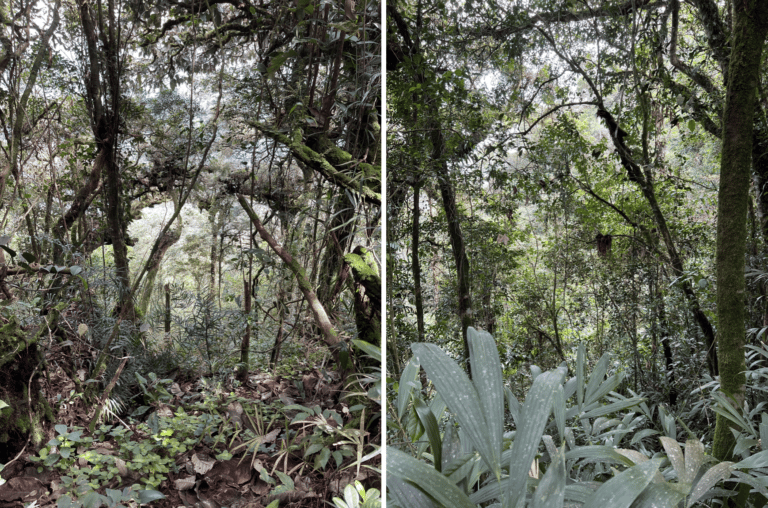 Top 4 des plus beaux paysages de Malaisie - LaetLiving